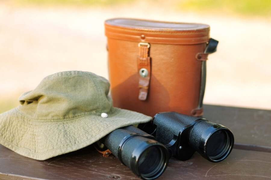 The Ultimate Guide to Birdwatching: How to Get it Started Today - Bird ...