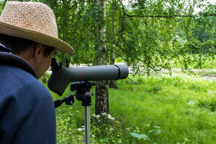 The Ultimate Guide to Birdwatching: How to Get it Started Today - Bird ...