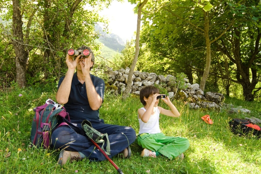 The Ultimate Guide to Birdwatching: How to Get it Started Today - Bird ...
