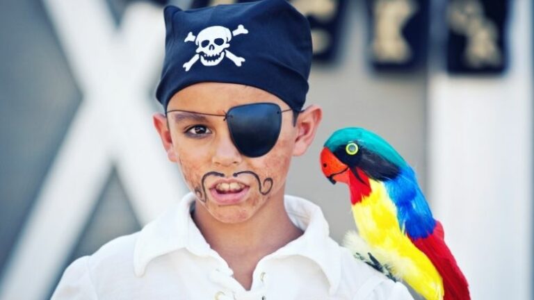 Pirates and Parrots: Why Parrots Are The Best Pets For Pirates? - Bird ...